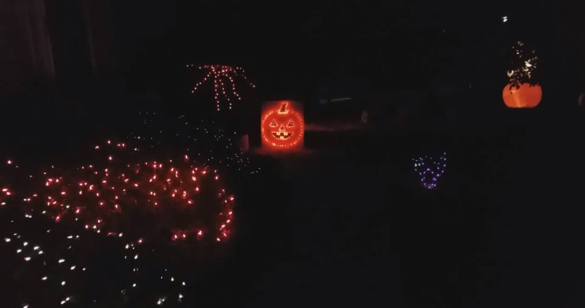 Phish Fan Readies 'Your Pet Cat' Halloween Light Show