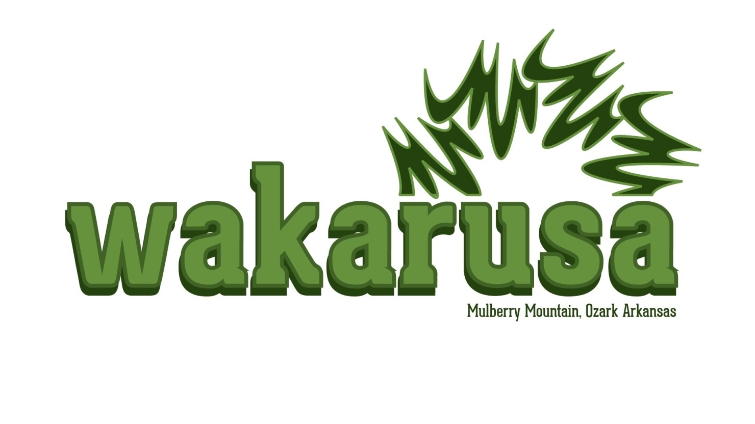 Wakarusa Festival Will Take 2016 Off